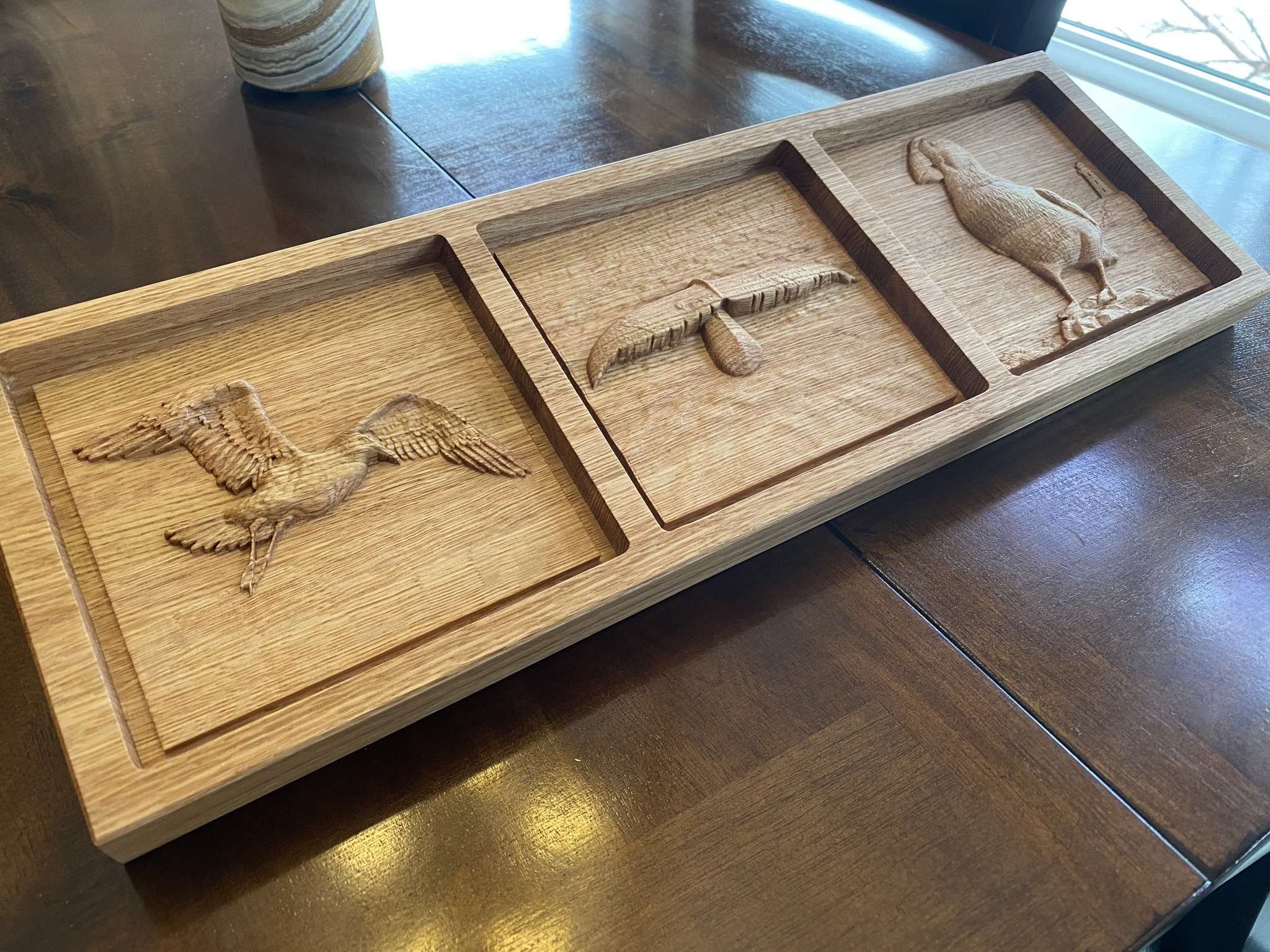 Animals-Decor-Derek-Scott | Sienci Labs